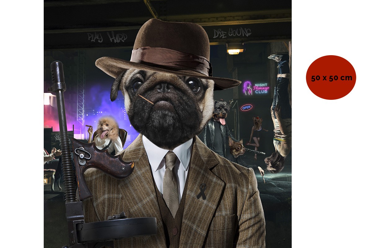 tableau-chiens-dog-fun-humour-rigolo-decoration-murale-rigolote-pour ...