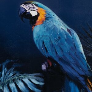 Tableau perroquet bleu peinture sur toile 80x120cm